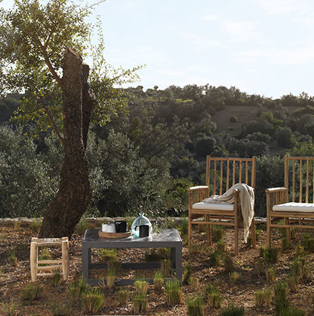 RUGG B | Organic Design